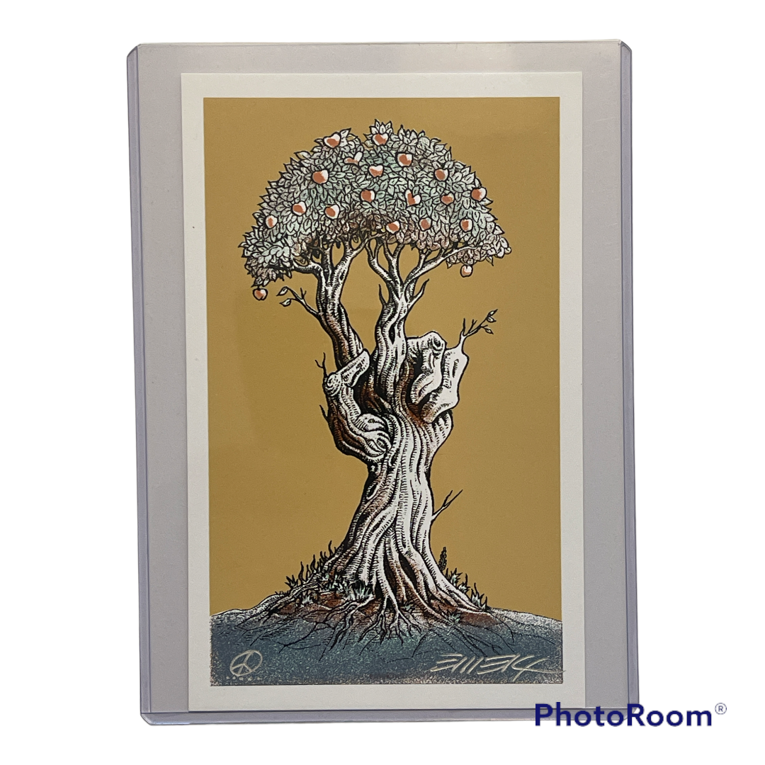 Peace Tree Of Life Drawing